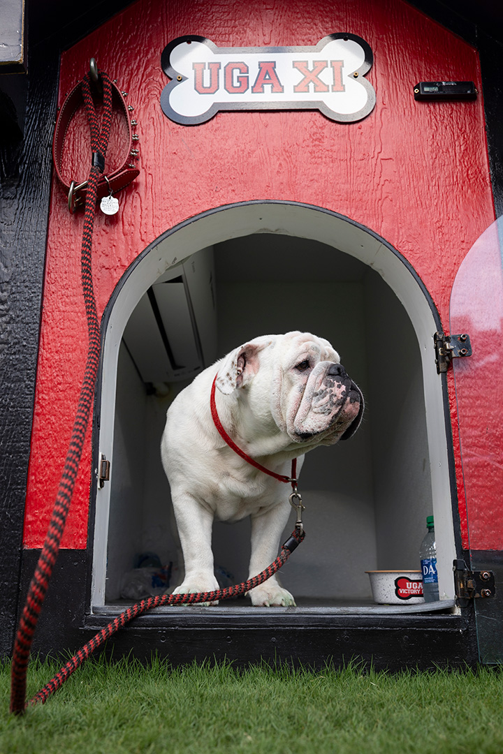 UGA XI - Game Changers