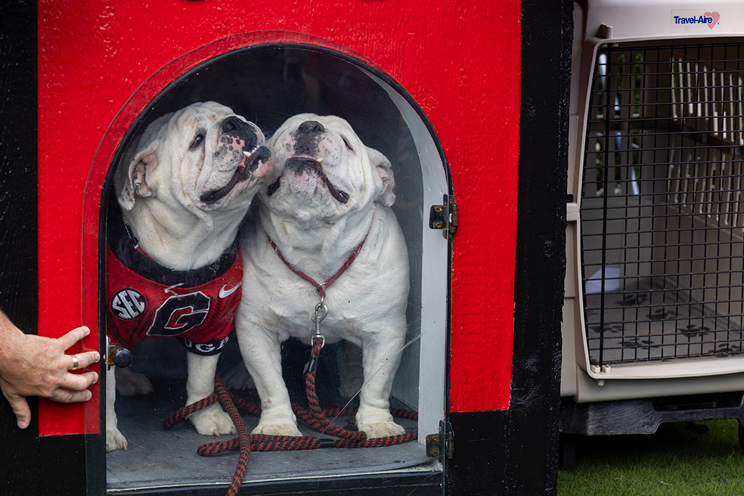 UGA XI - Game Changers