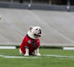 UGA XI - Game Changers