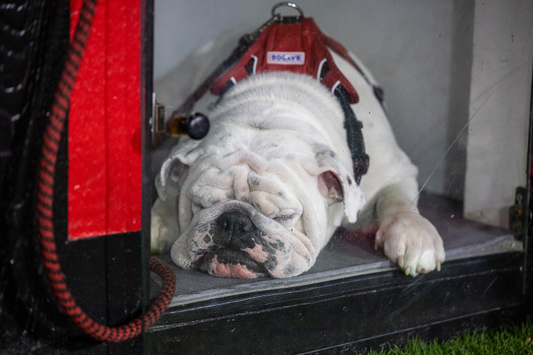 UGA XI - Game Changers